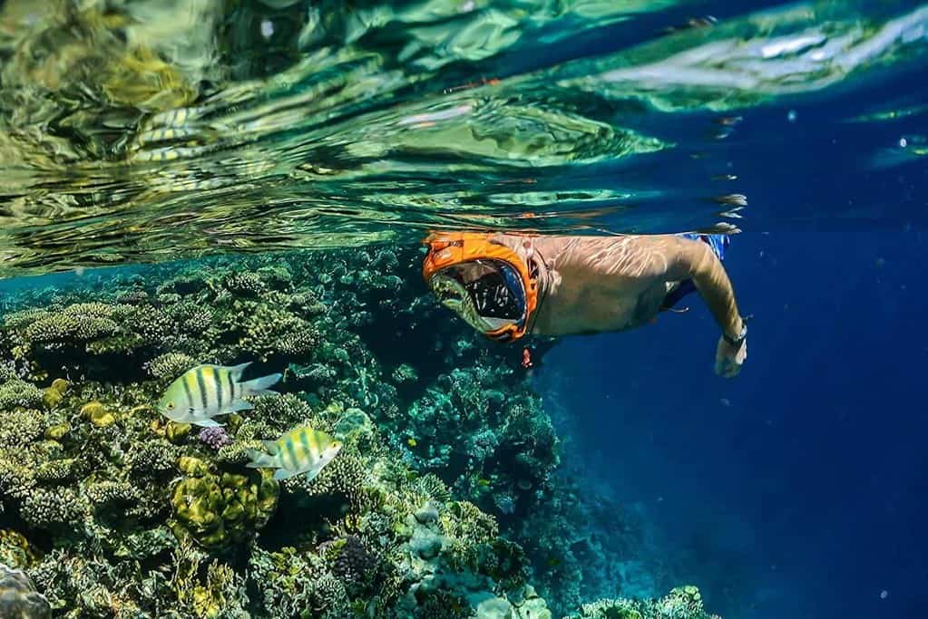 Ocean Reef Aria QR Full Face Mask – The Best Keeps Getting Better